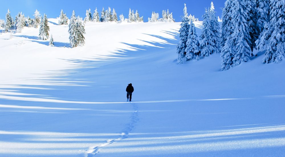 Mathieu Vigier - ICG